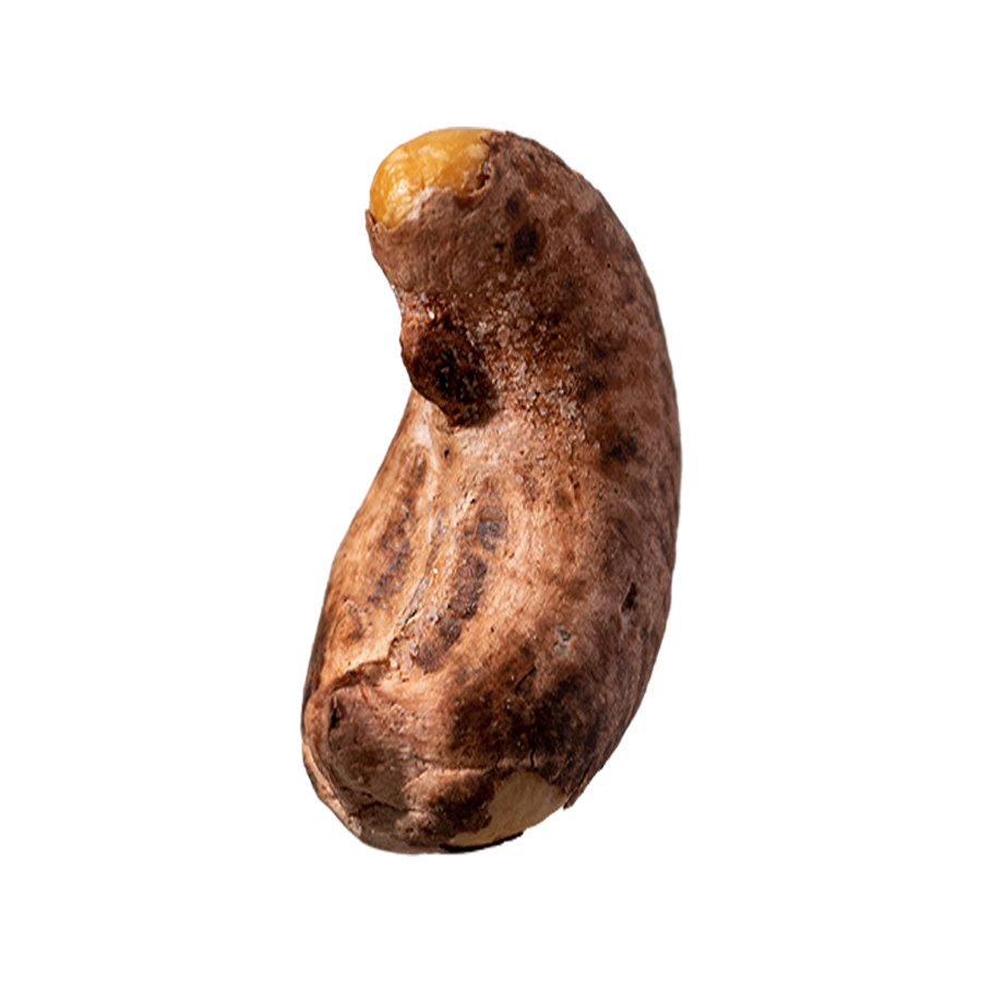 Cashew Nut with Skin – Azewa